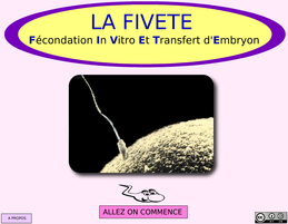 SVTCALVIN - Les animations